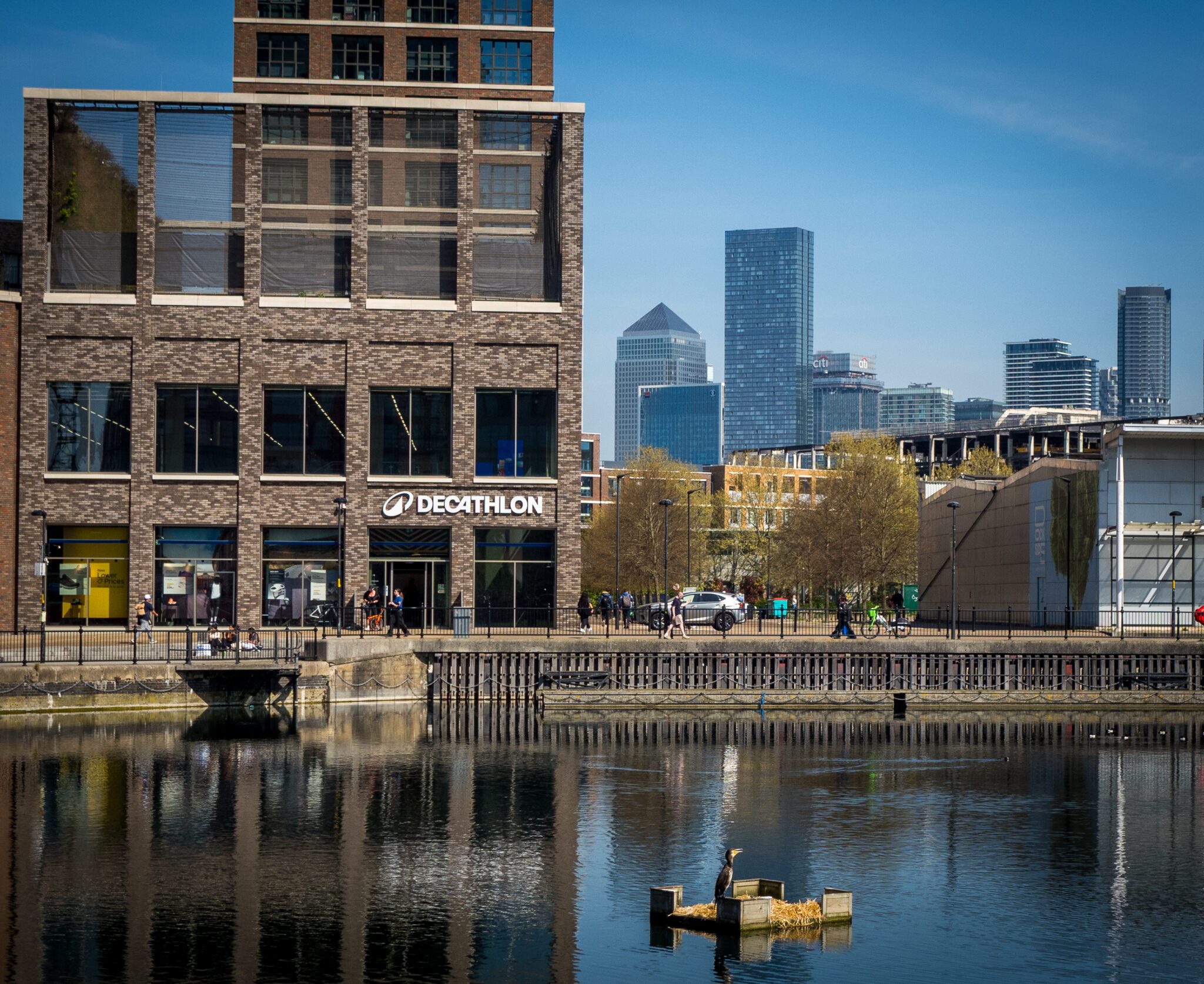 Surrey Docks Farm in London: A Complete Guide - StepbyStepLondon.com