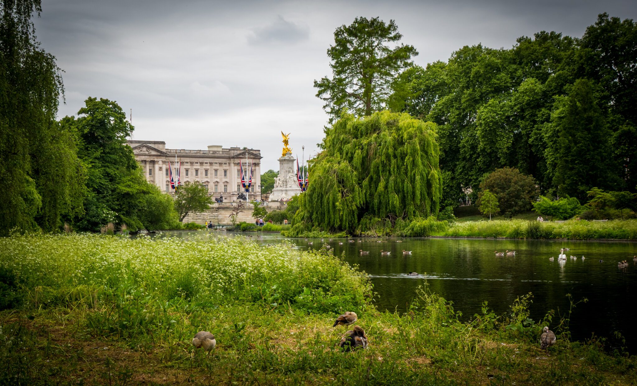 St. James's Park London: Everything you need to know - StepbyStepLondon.com